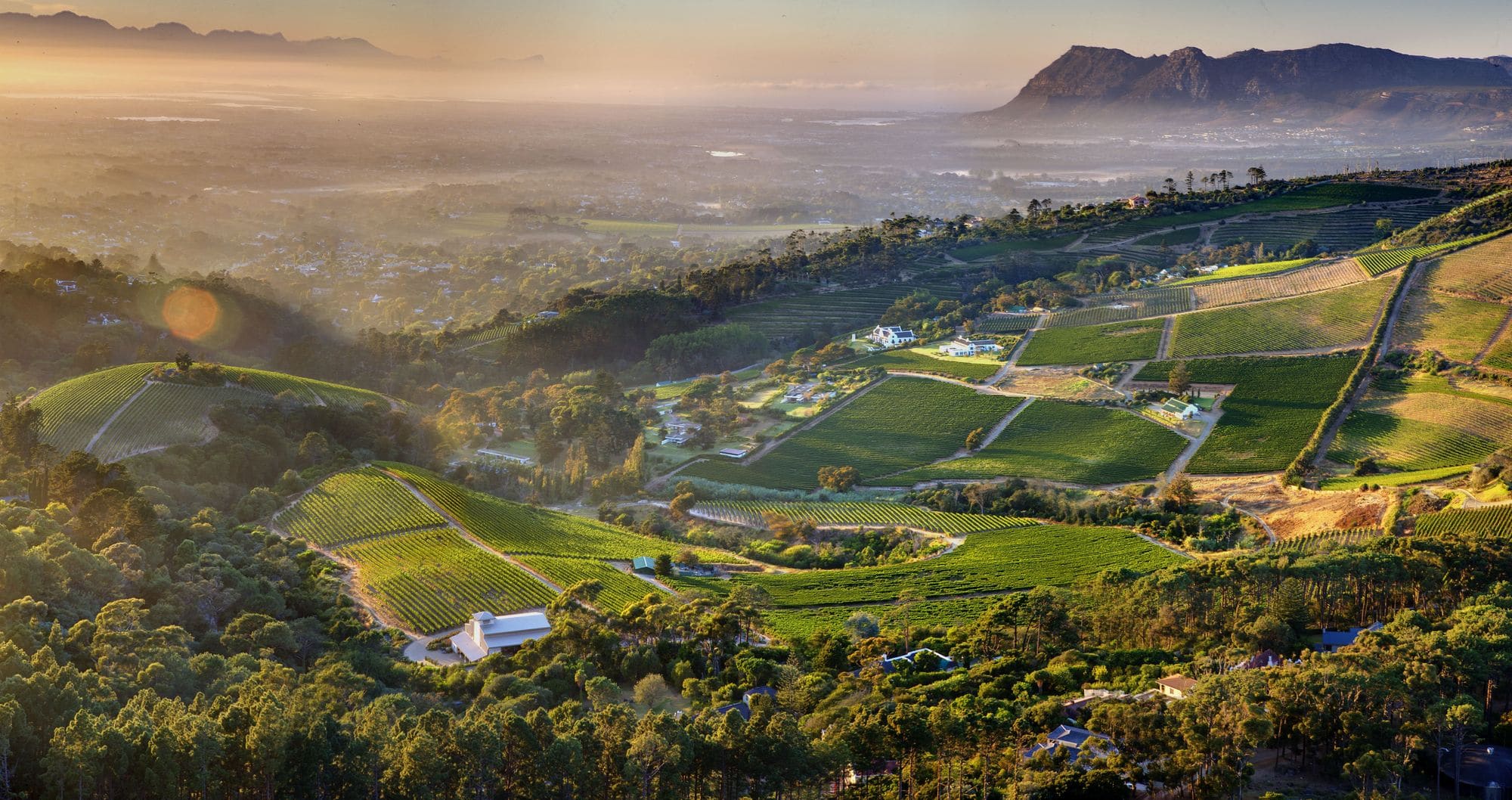 Wine & Dine | Capewine & Weingut Constantia Glen - Hörnlingen Rankweil